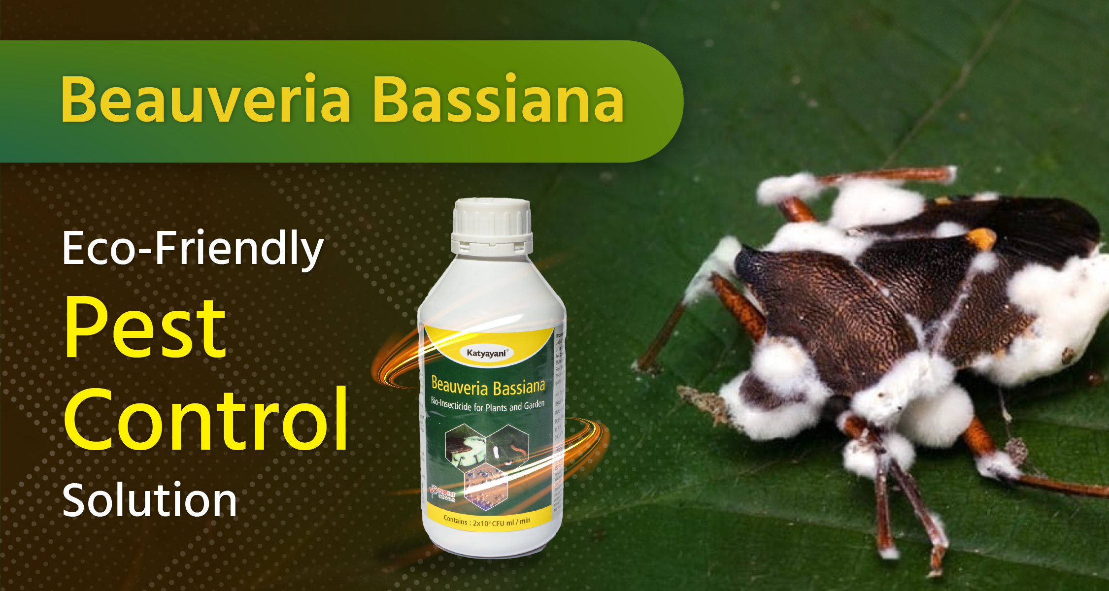 Beauveria bassiana: Eco-Friendly Pest Control Solution