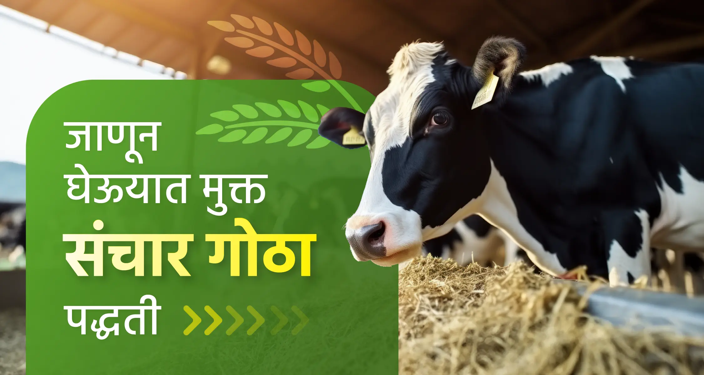 मुक्त संचार गोठा पद्धती (Mukt Sanchar Gotha)