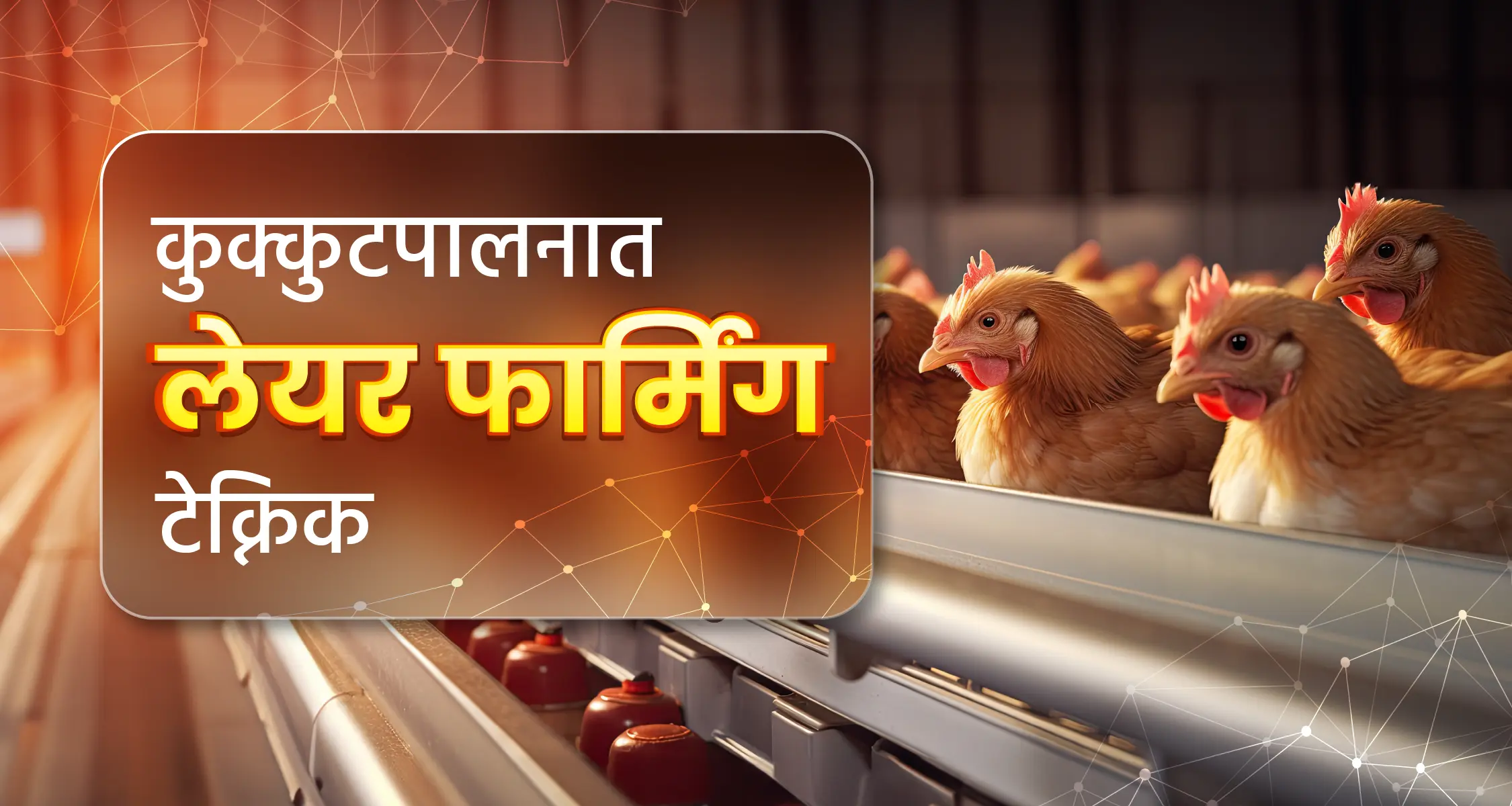 कुक्कुटपालनात लेयर पोल्ट्री फार्मिंग टेक्निक (Layer Poultry Farming)