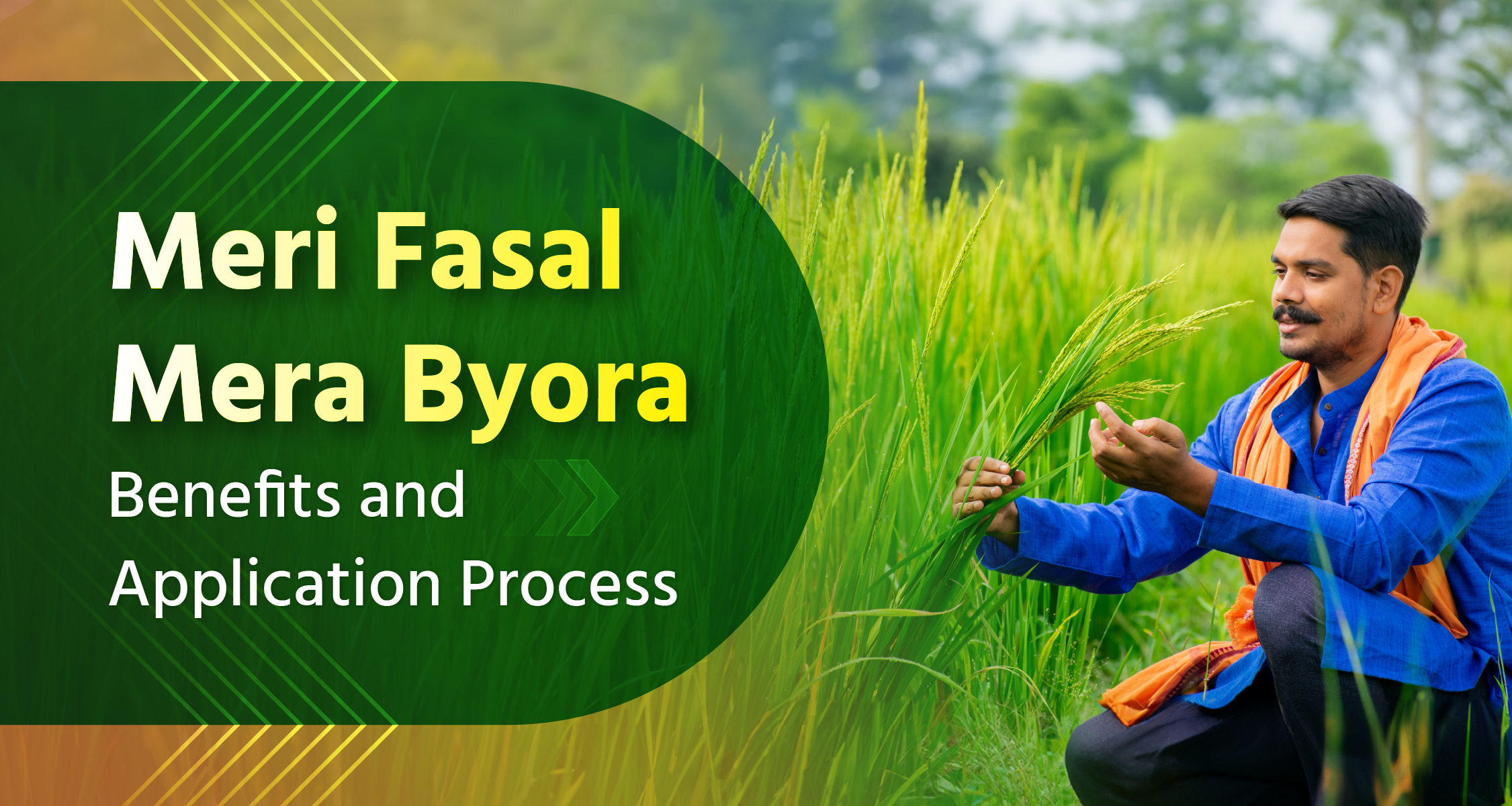 Meri Fasal, Mera Byora Scheme: Benefits and Application Process