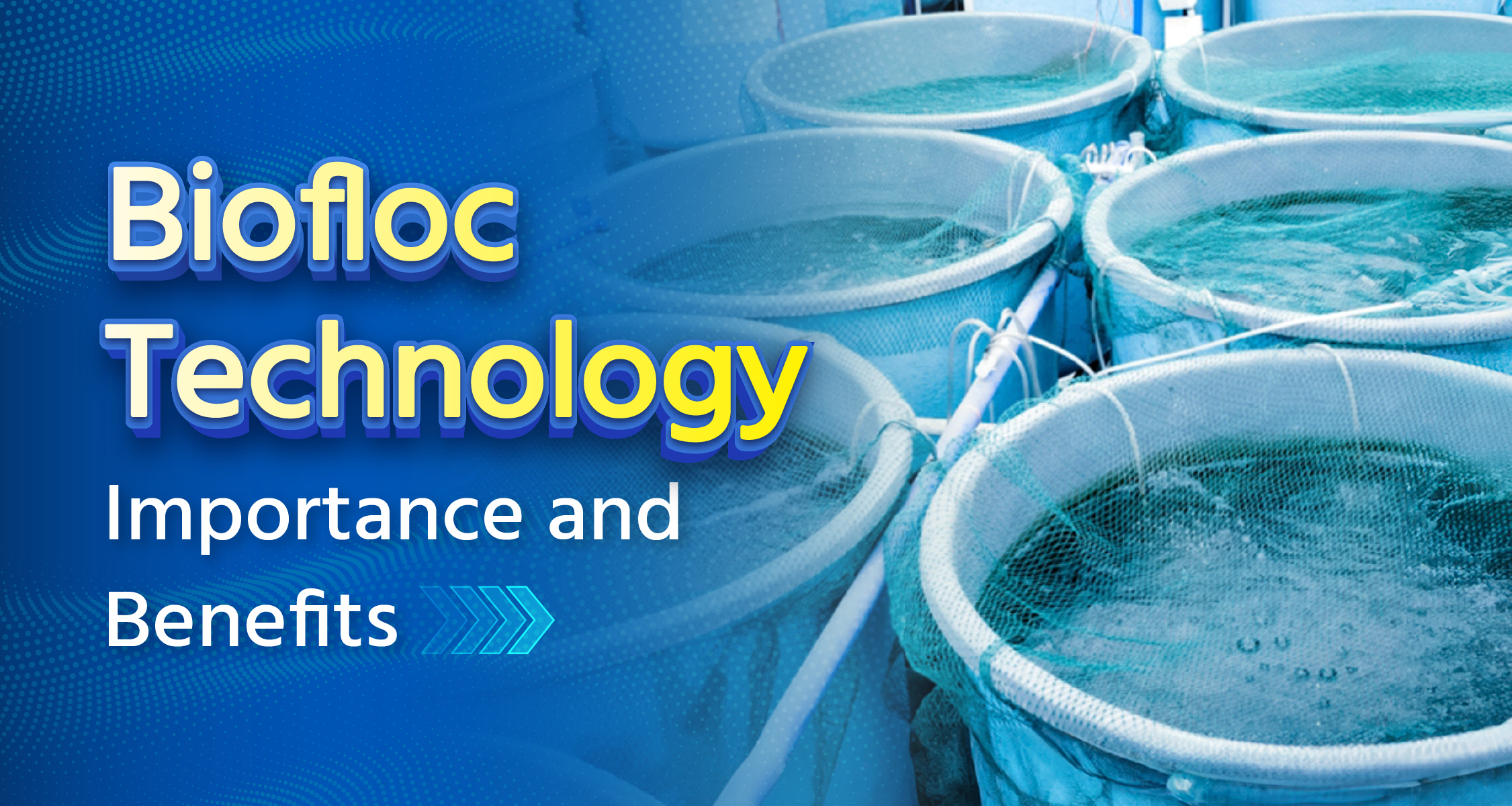 Biofloc Technology: An Efficient Method for Fish Farming in Limited Spaces