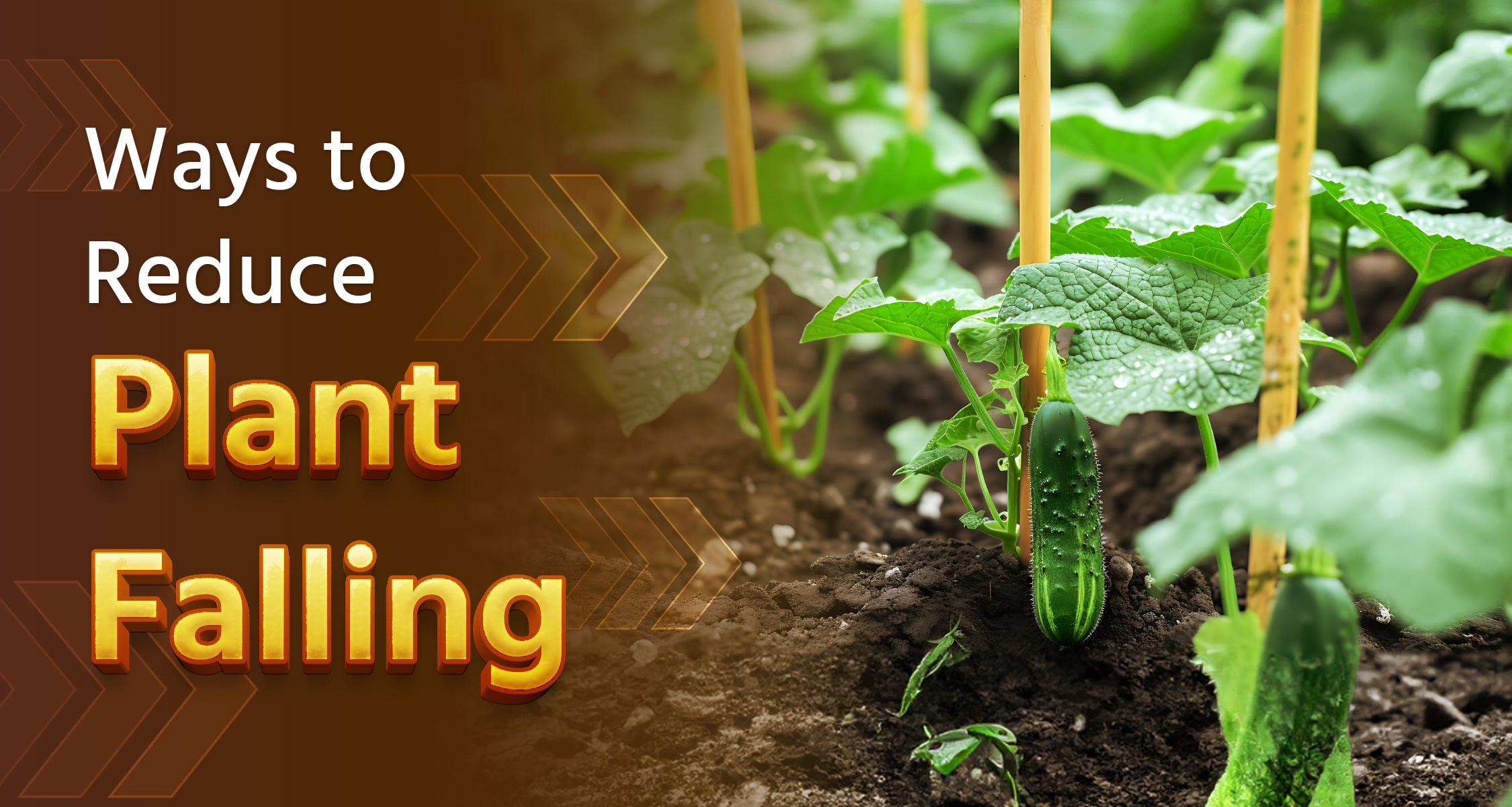 Ways to Reduce Plant Falling