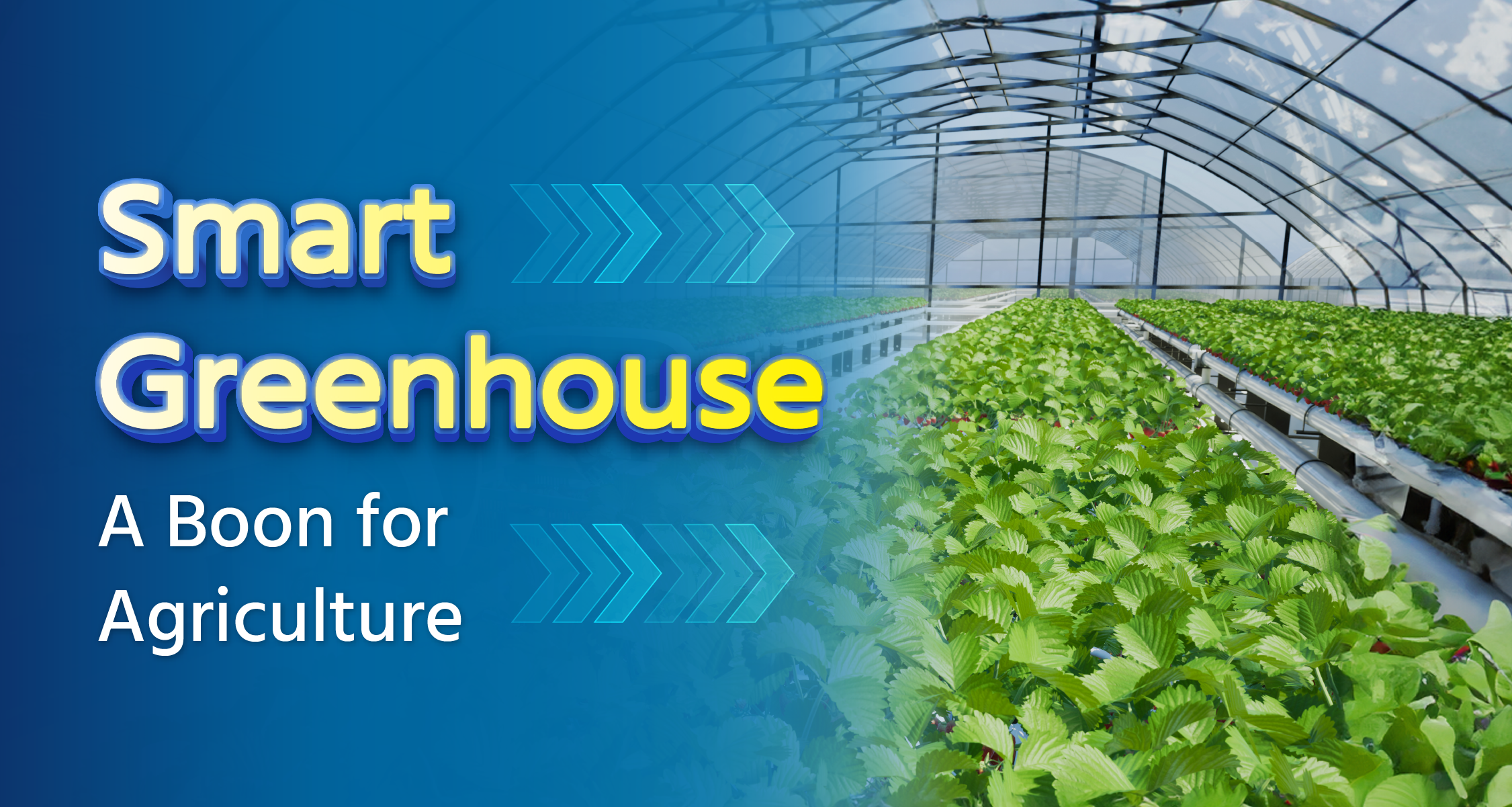 Smart Greenhouse: A Boon for Agriculture