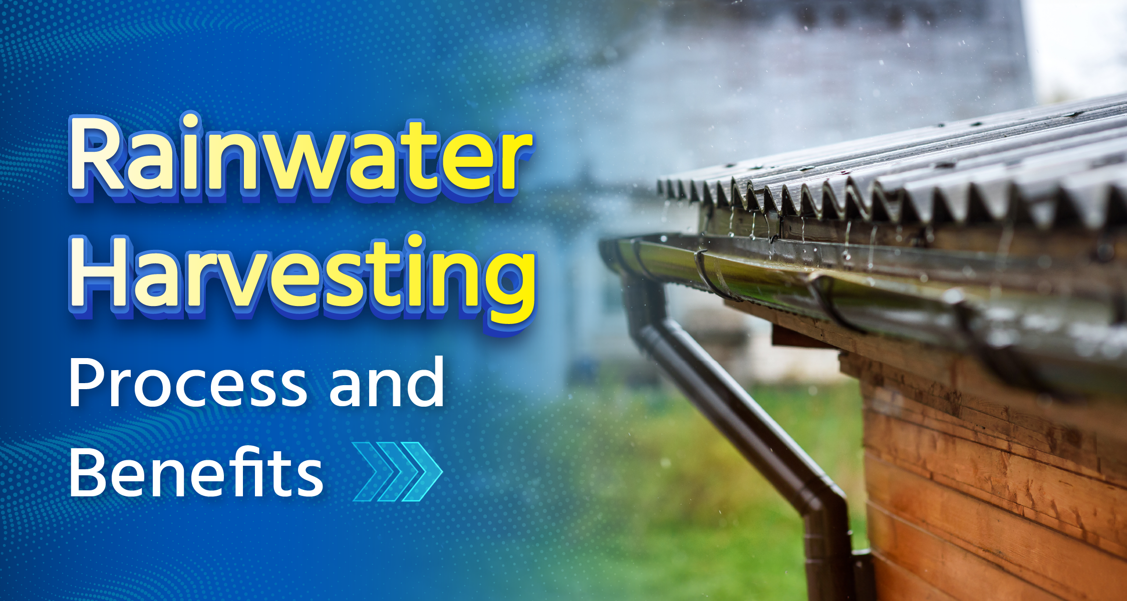 Rainwater Harvesting: Process and Benefits