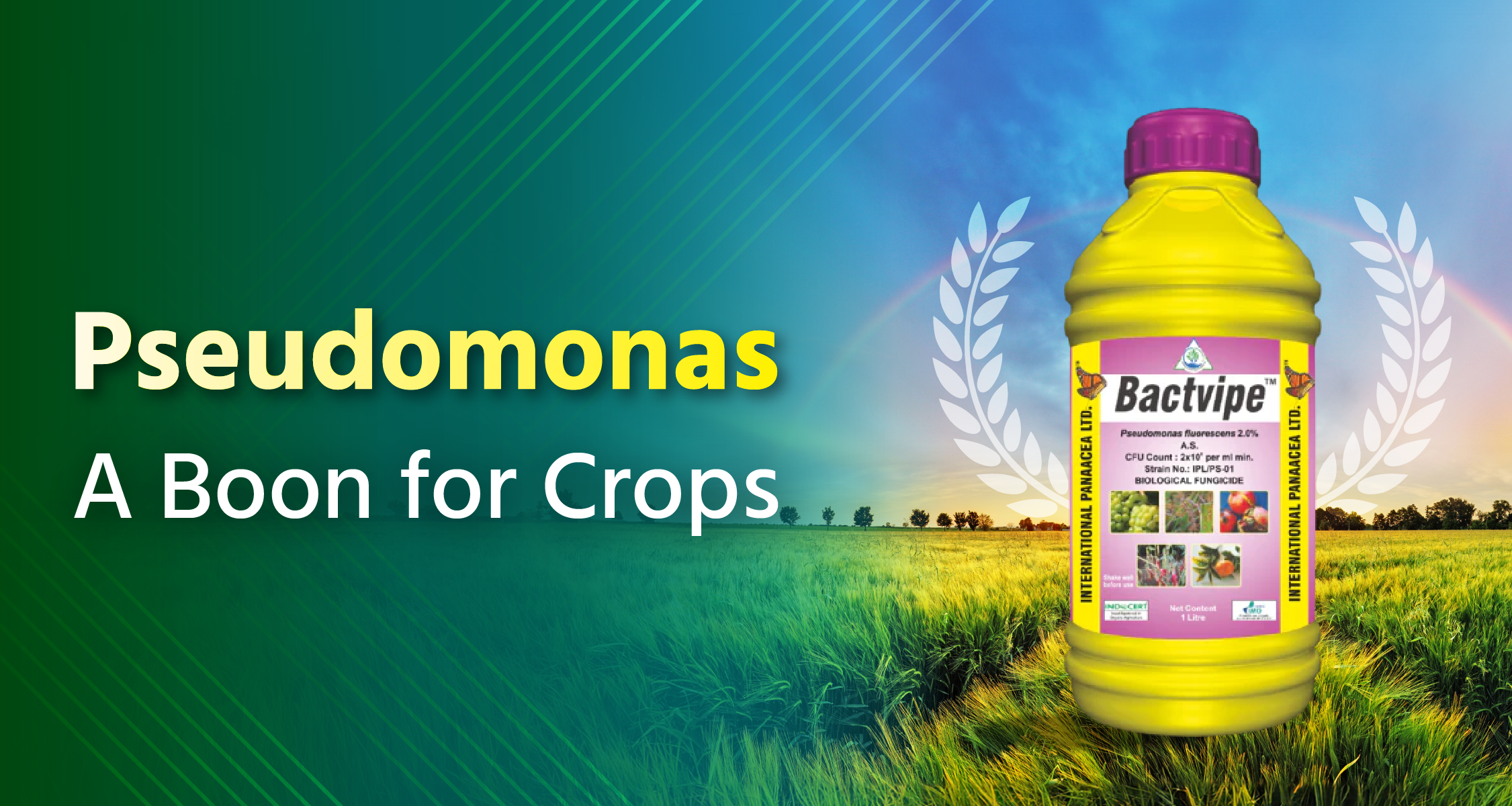 Pseudomonas: A Boon for Crops