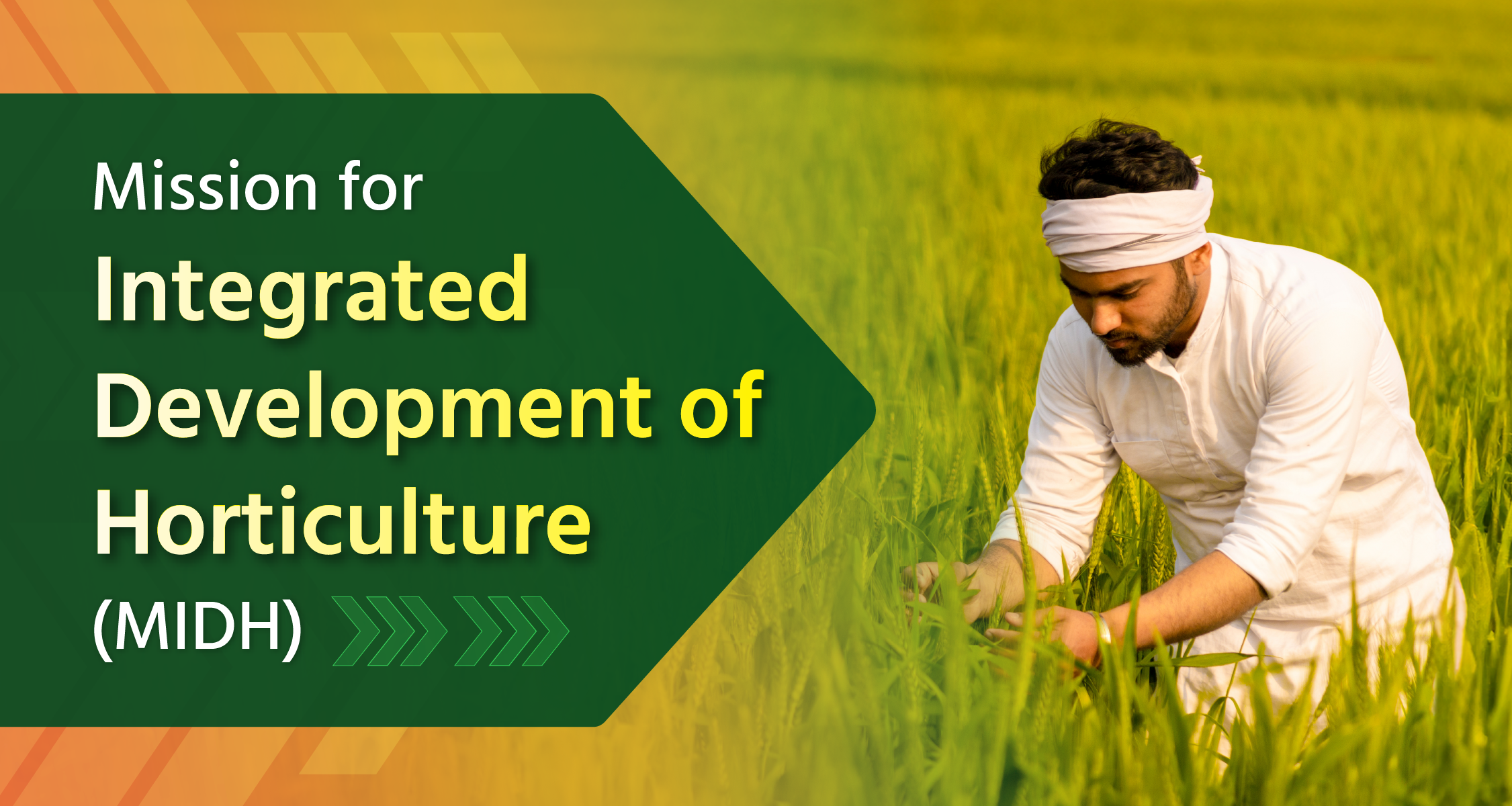 Mission for Integrated Development of Horticulture (MIDH)