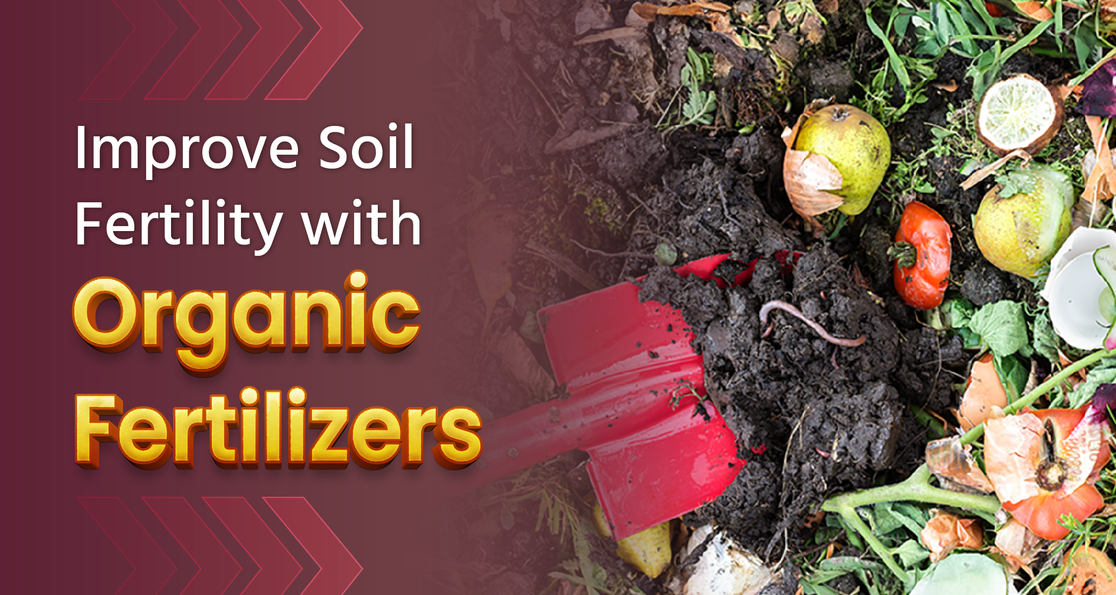 Improve Soil Fertility with Organic Fertilizers