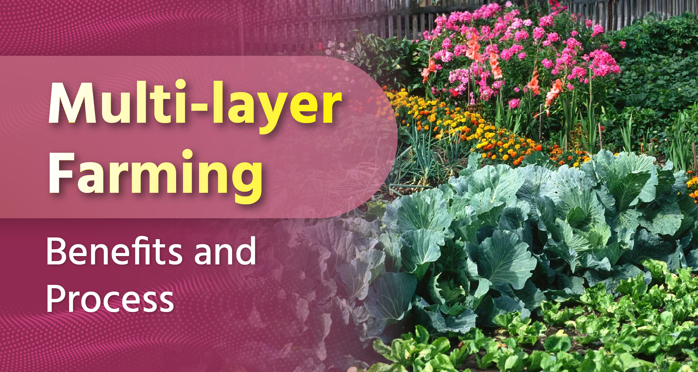 Multi-layer Farming: Benefits and Processes