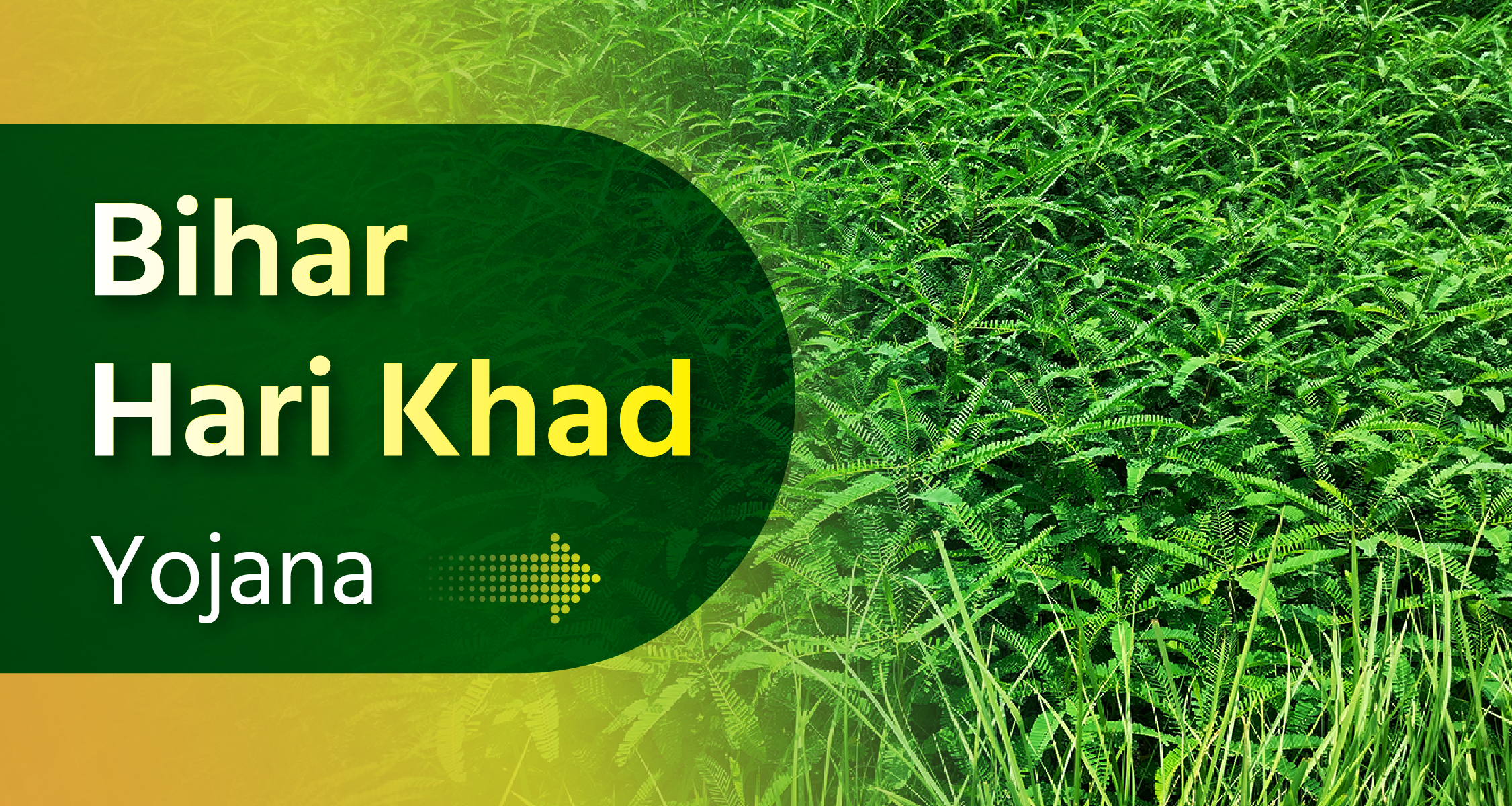 Bihar Hari Khad Yojana