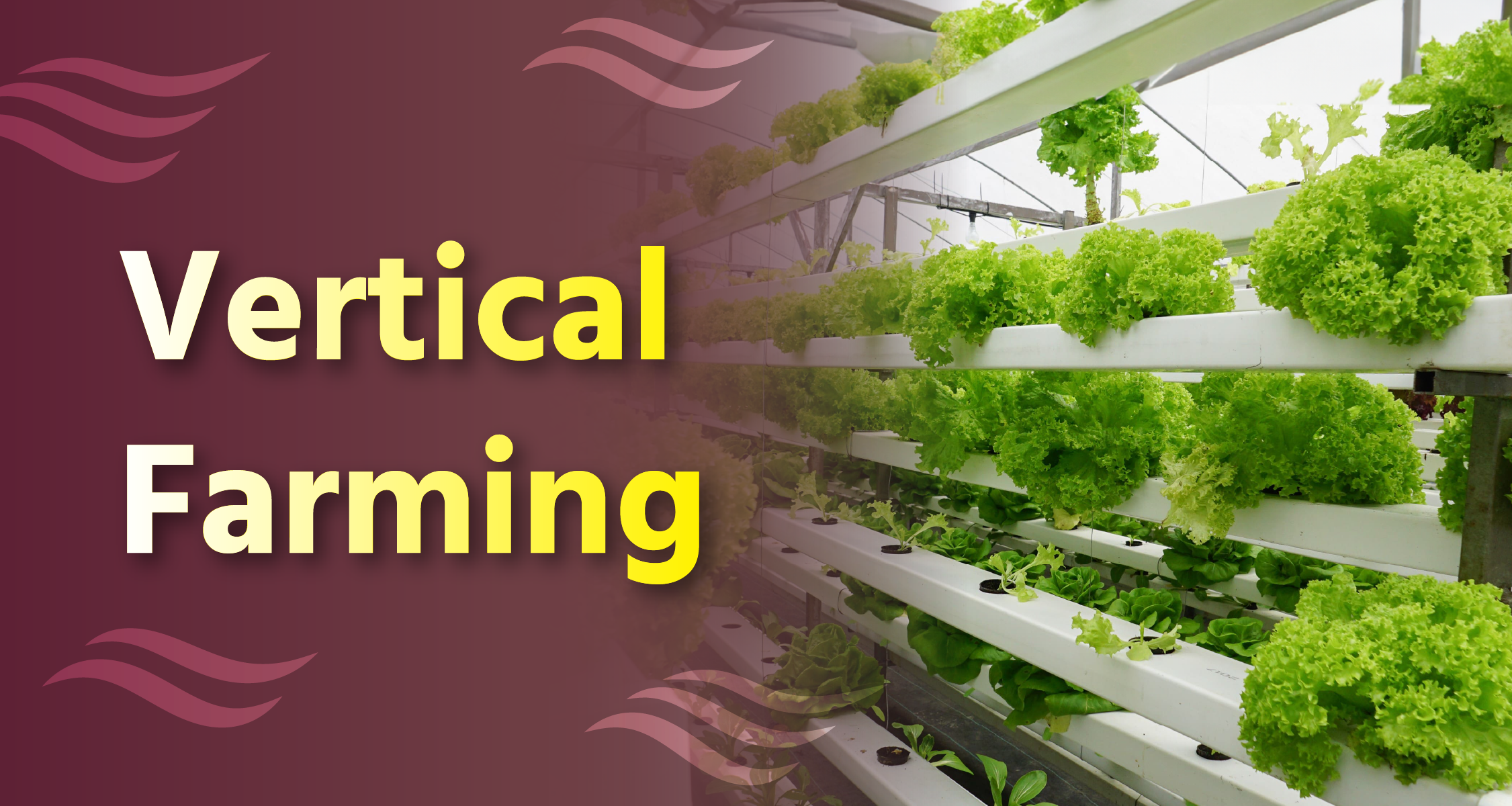Vertical Farming