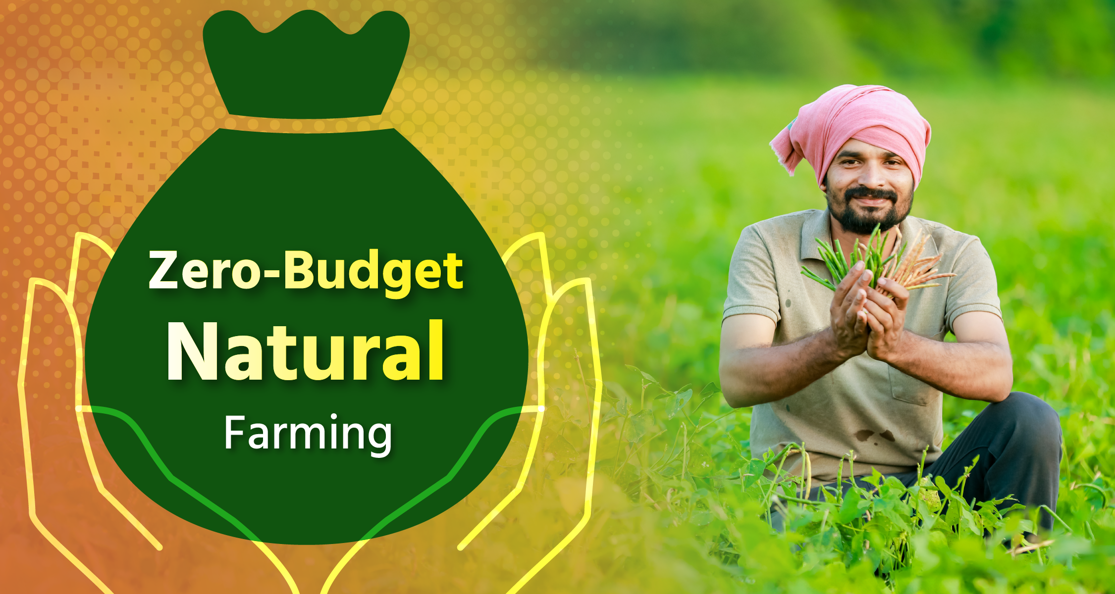 Zero Budget Natural Farming: Benefits and Process
