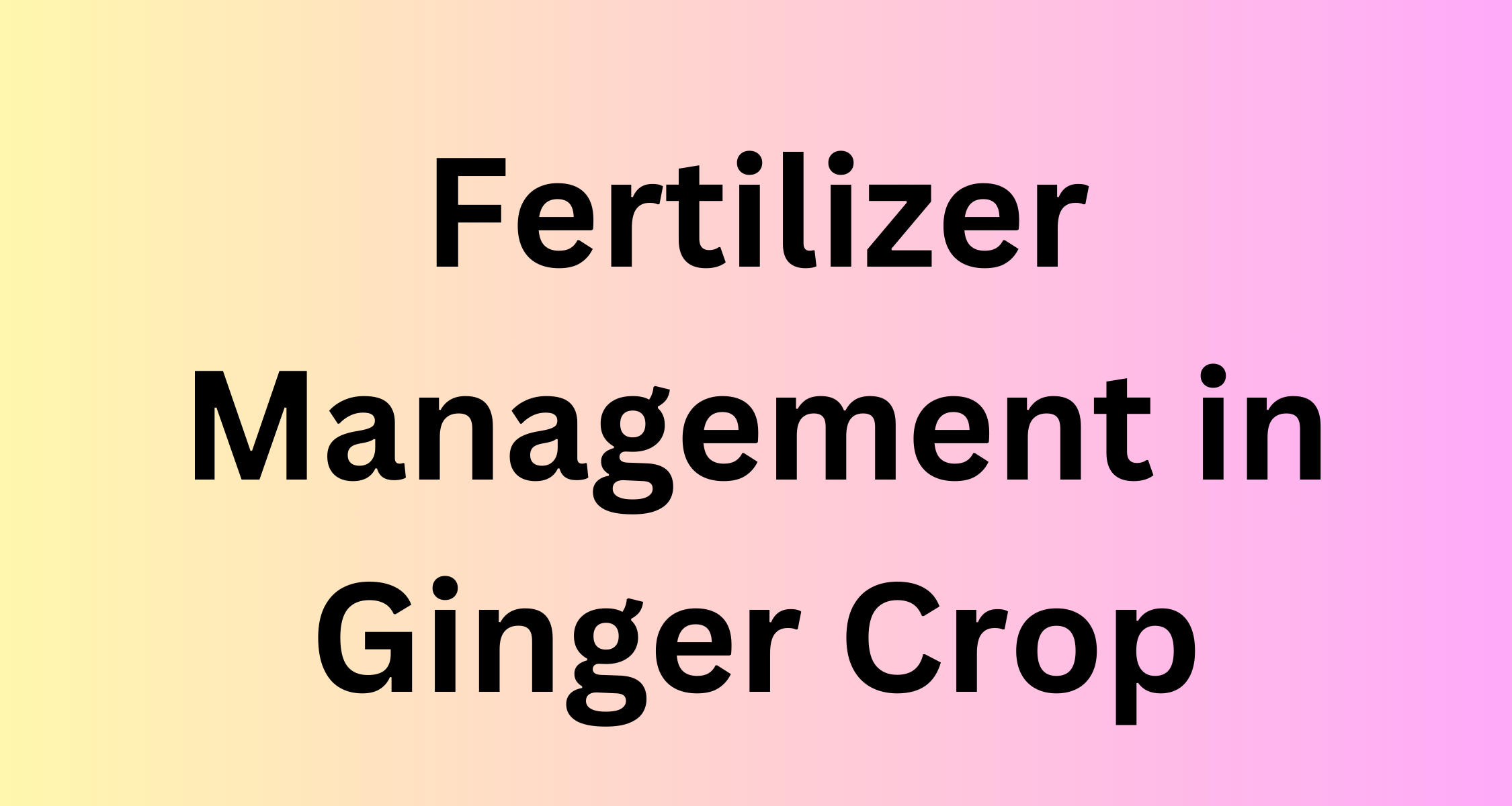 Fertilizer Management in Ginger Crop