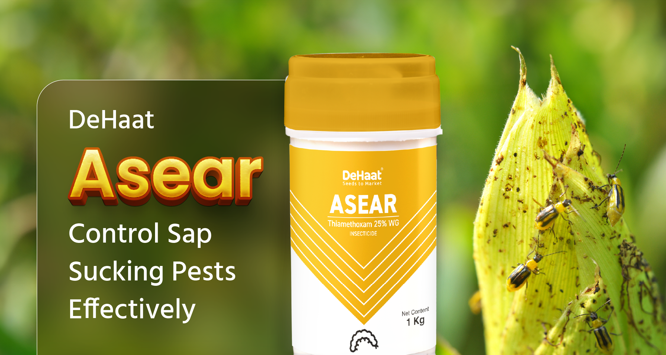 Control Sap-sucking Pests with DeHaat Asear