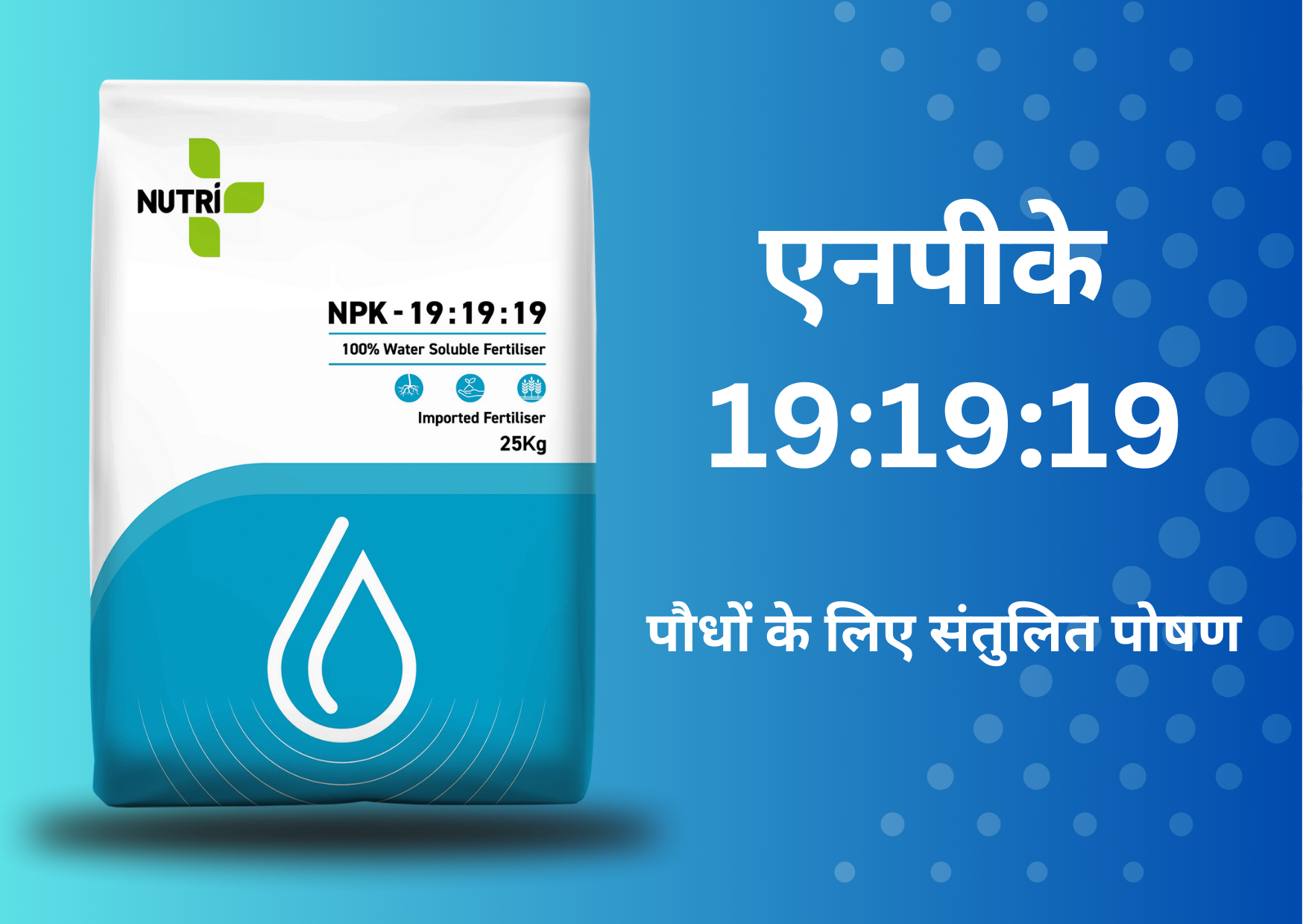 एनपीके 19:19:19 के फायदे | Benefits of NPK 19:19:19